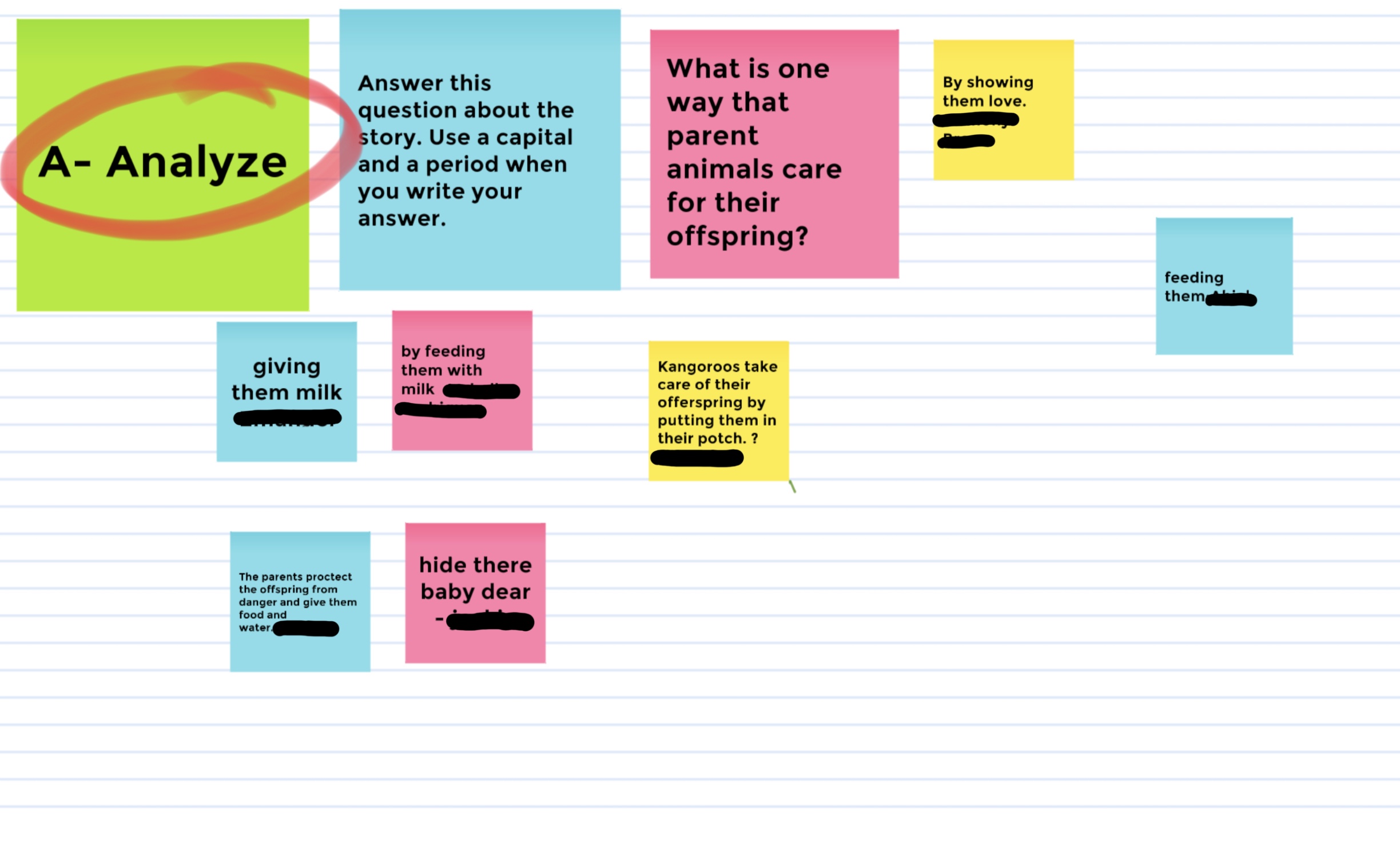 Example Lessons: SPREAD Notes! – Alyssa Macedo